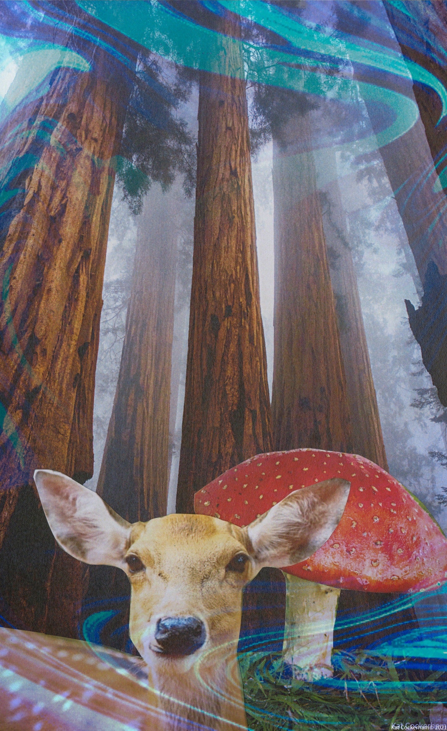 "Crunching Lunch" card